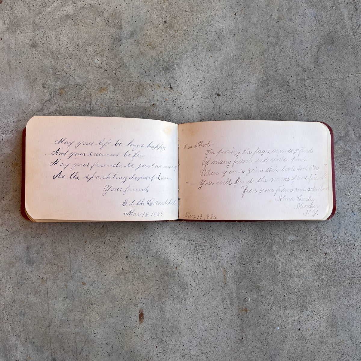 1880s Owl "Galaxy" Autograph Album – Witchy Vintage